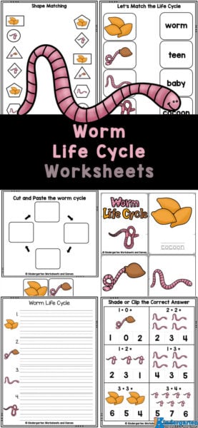 Earthworm Life Cycle For Kids