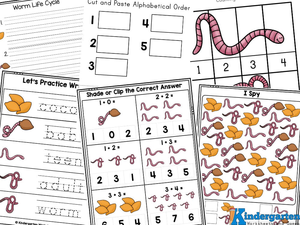 FREE Printable Worm Life Cycle Worksheets for Kids