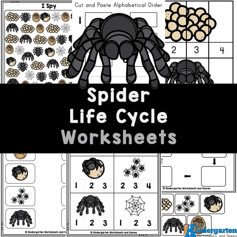 School Supplies Color By Numbers Worksheets for Kindergarten - 11-20