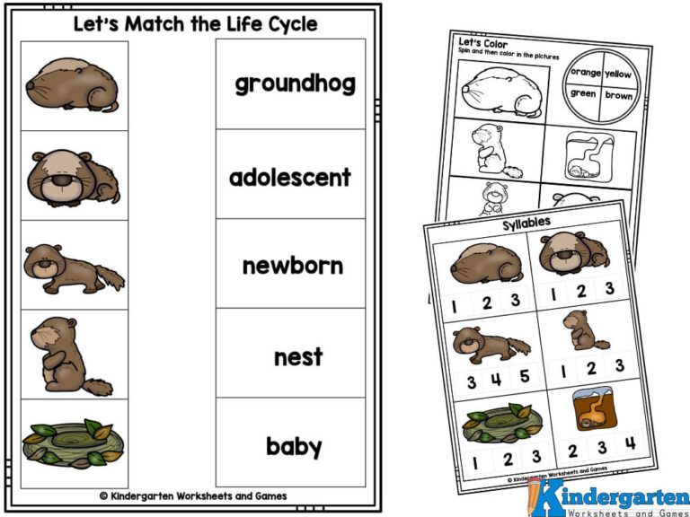 FREE Printable Groundhog Life Cycle Worksheets