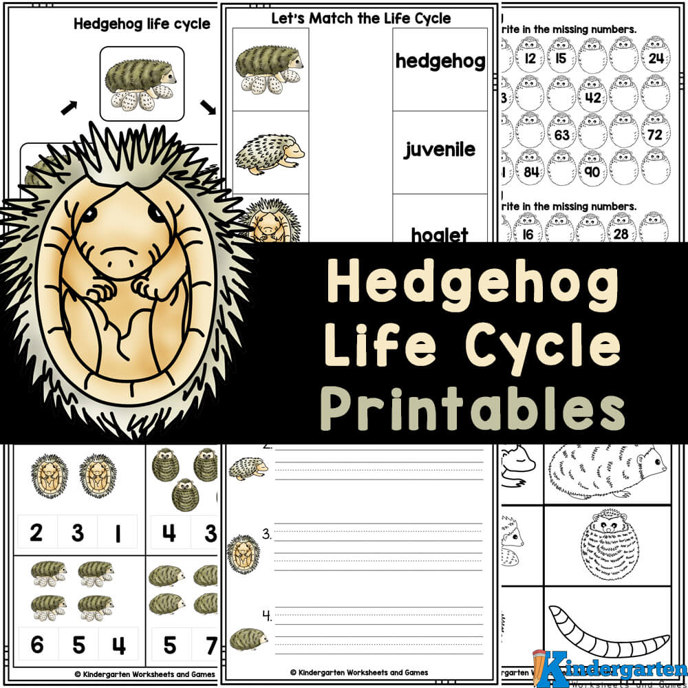 Ten Frame Worksheets - Counting by 10 Printables for Kindergarten Math