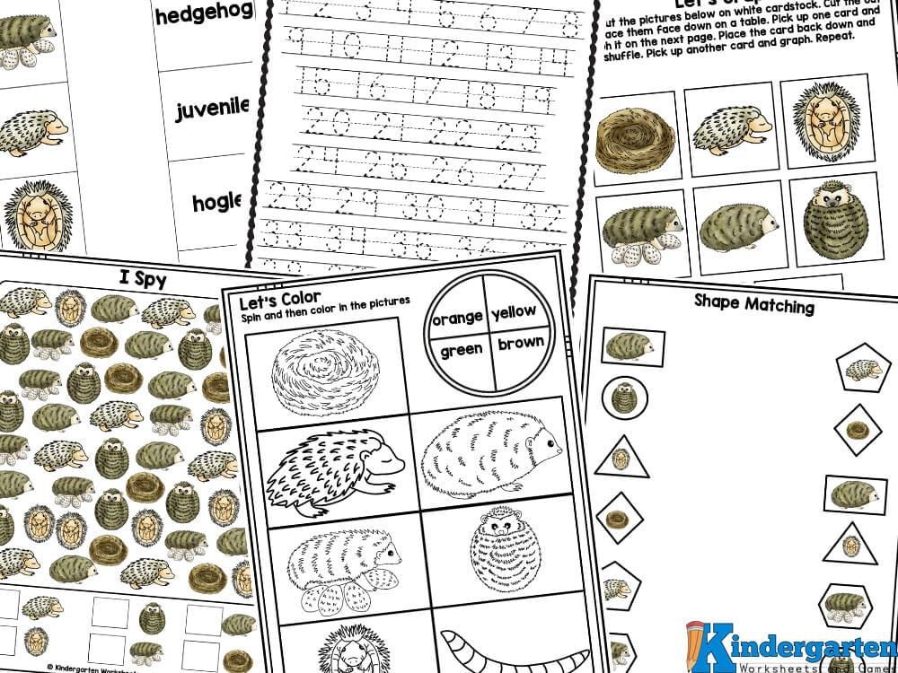 🦔 FREE Hedgehog Life Cycle Worksheets for Kids