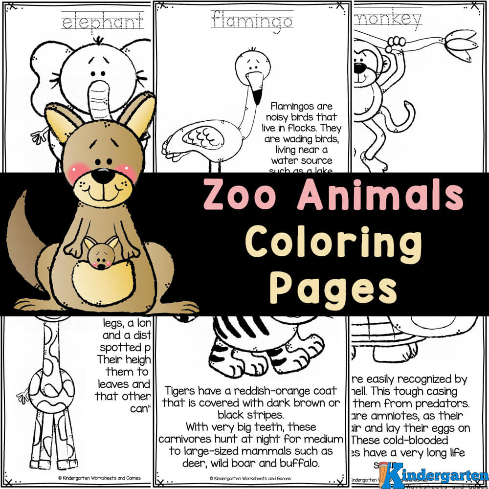 Coloring Zoo Animals Worksheets 17 Zoo Animal Coloring Pages With