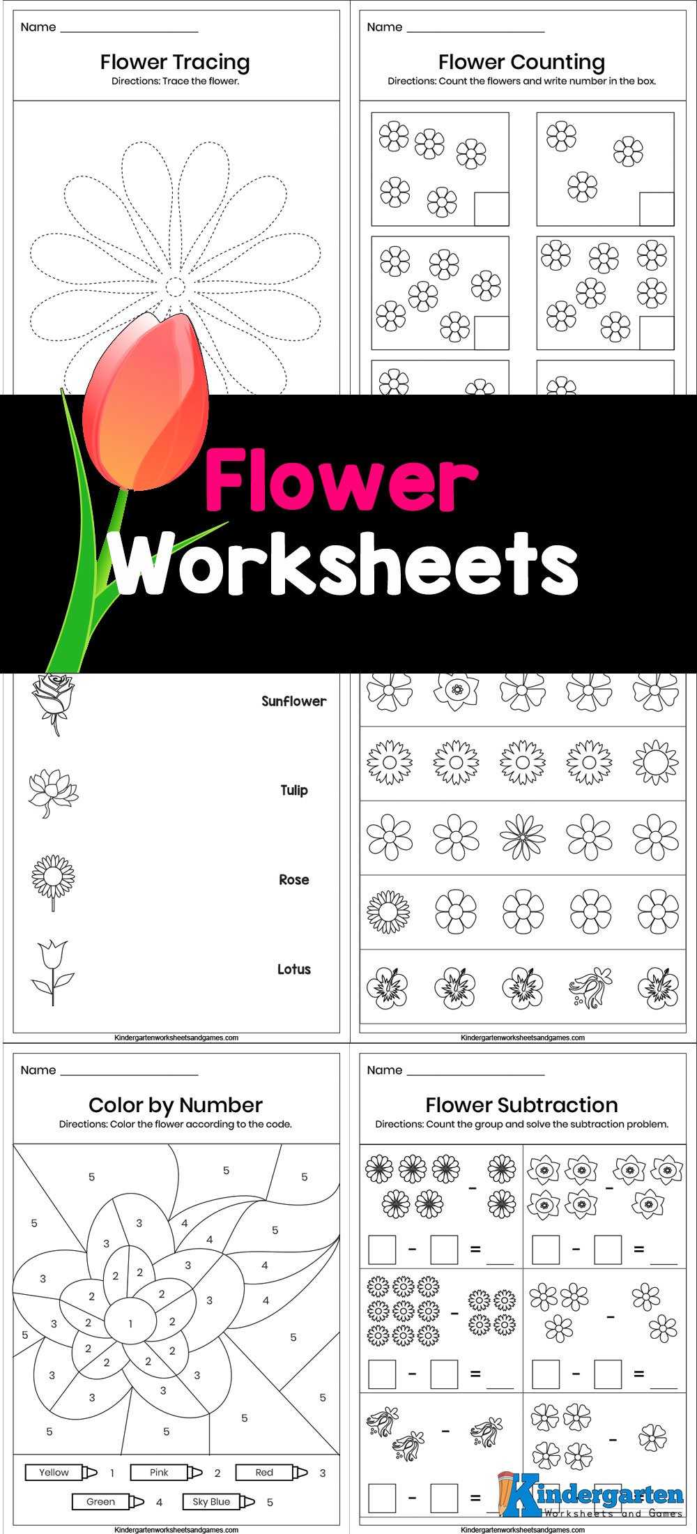 FREE Printable Flower Worksheets for Kindergarten