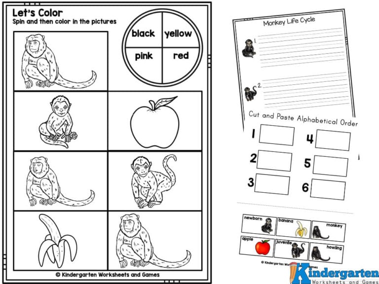 🐒 FREE Printable Monkey Life Cycle for Kids Worksheets
