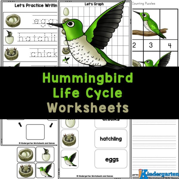 Write in Words! Number Names 1 to 100 Worksheet