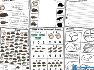 FREE Printable Platypus Life Cycle Worksheets for Kids