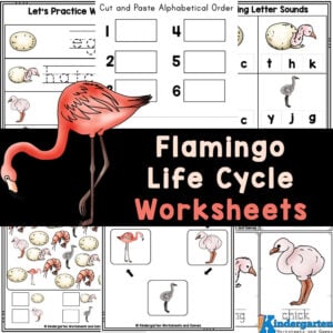 Where do I live Printable for Kindergarten Geography - Me on the Map ...