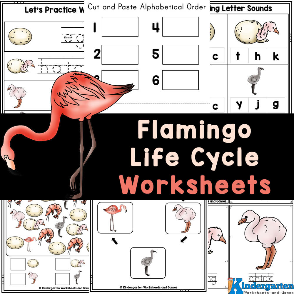 Egg Laying Animals Worksheets