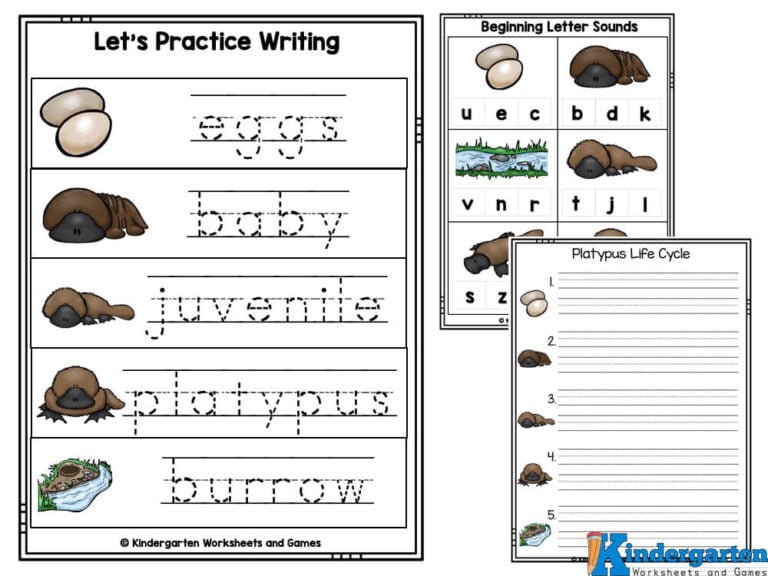 FREE Printable Platypus Life Cycle Worksheets for Kids