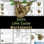 FREE Printable Sloth Life Cycle Worksheets for Kids