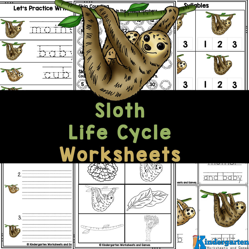 FREE Printable Sloth Life Cycle Worksheets for Kids