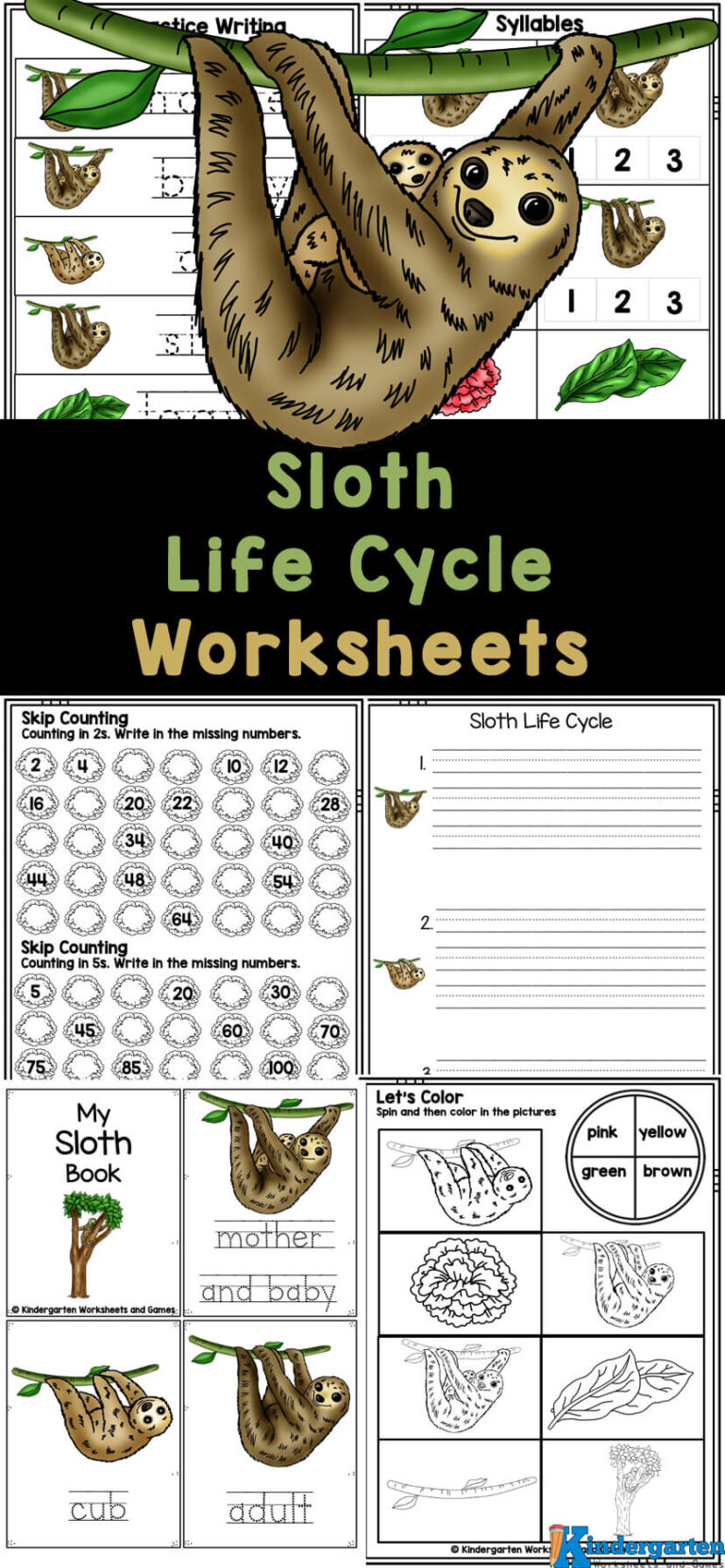 FREE Printable Sloth Life Cycle Worksheets for Kids