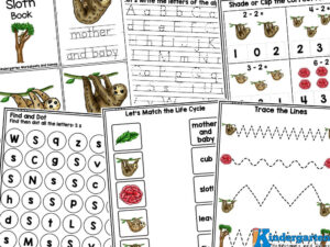 FREE Printable Sloth Life Cycle Worksheets for Kids