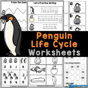 🐧 Penguin Life Cycle Worksheets for Kids
