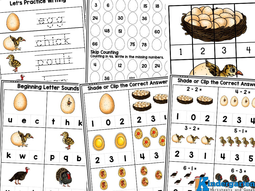 🦃 FREE Printable Turkey Life Cycle Worksheets and Activities
