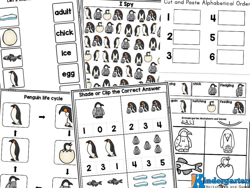 🐧 Penguin Life Cycle Worksheets for Kids