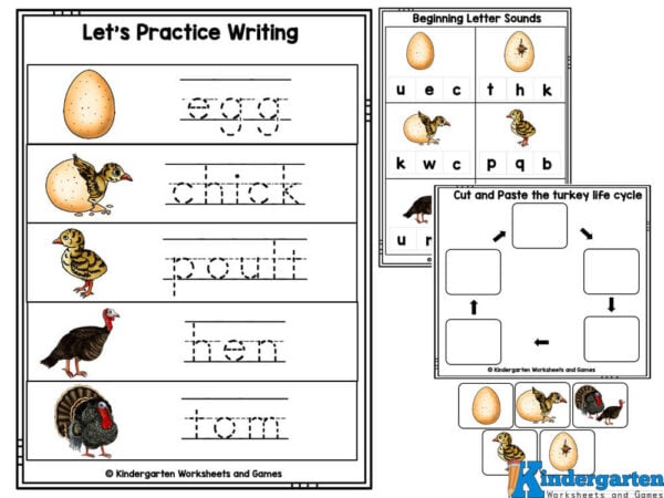 🦃 FREE Printable Turkey Life Cycle Worksheets and Activities