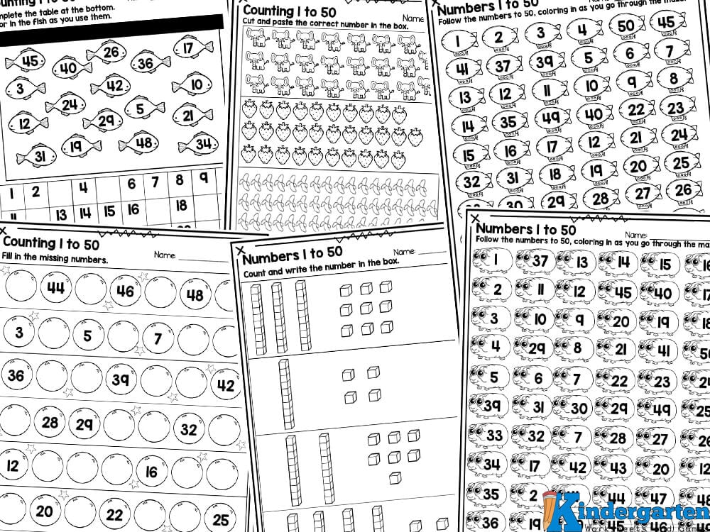 Counting & Missing Numbers 1 to 50 Worksheets