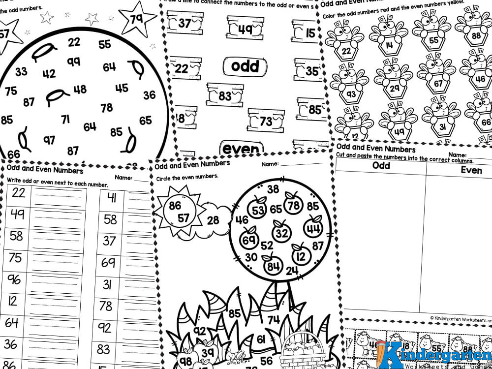 Odd and Even Worksheets for Kindergarten