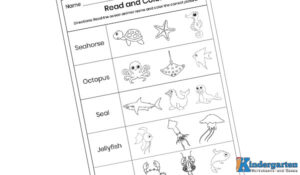 Ocean Animals Worksheets for Kindergarten