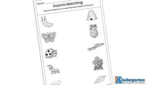 🐛 Insects Worksheets for Kindergarten
