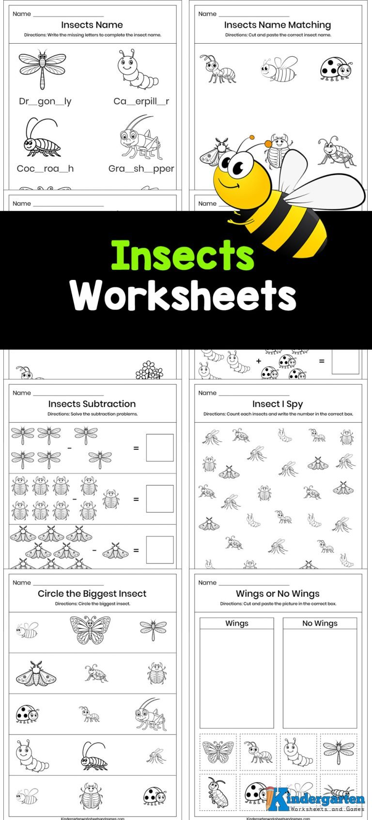 🐛 Insects Worksheets for Kindergarten