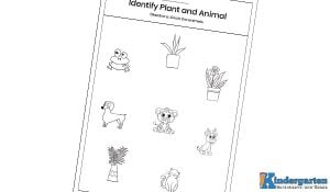 Plants and Animals Worksheets for Kindergarten