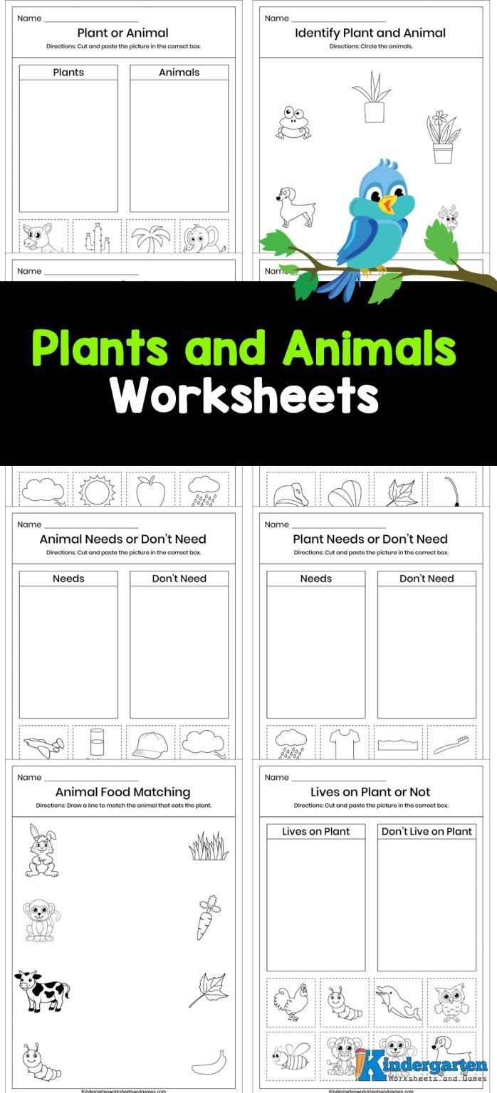 Plants and Animals Worksheets for Kindergarten