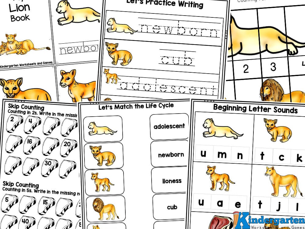 🦁 Free Printable Lion Life Cycle Worksheets for Kids