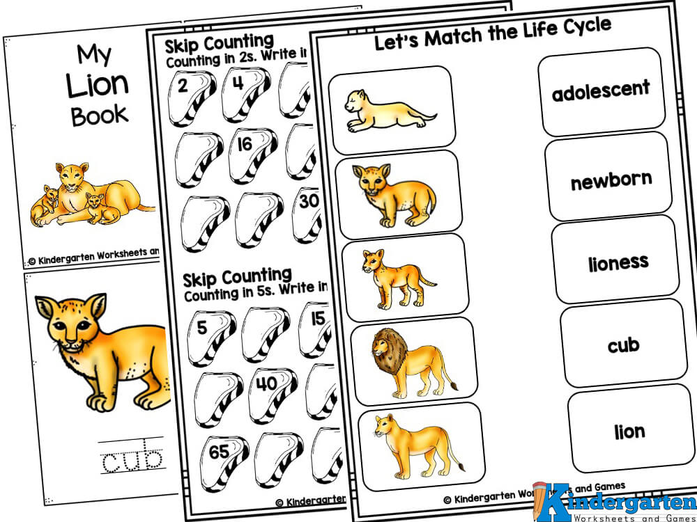 🦁 Free Printable Lion Life Cycle Worksheets for Kids