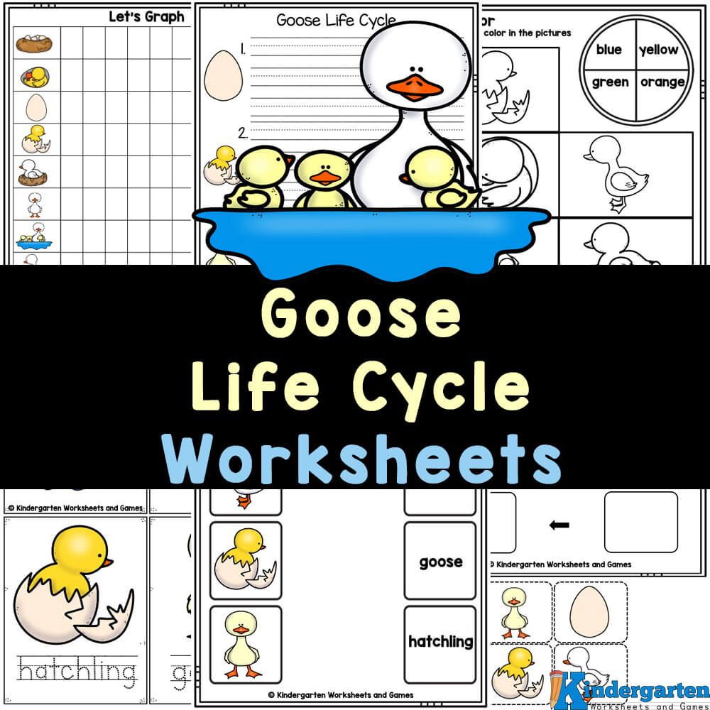 From Egg to Flight: Exciting Goose Life Cycle Activities