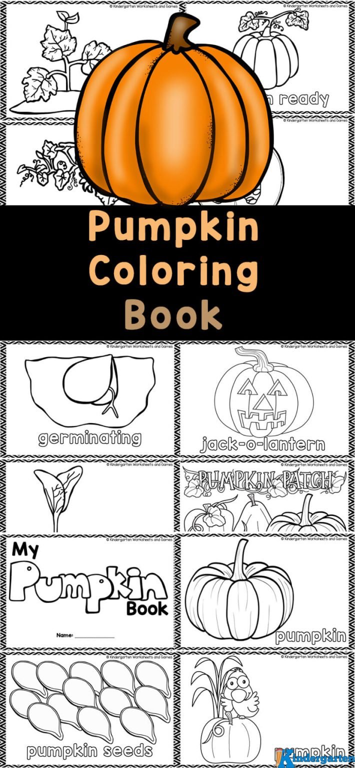 🎃 Counting Pumpkins - FREE Kindergarten Math Activity