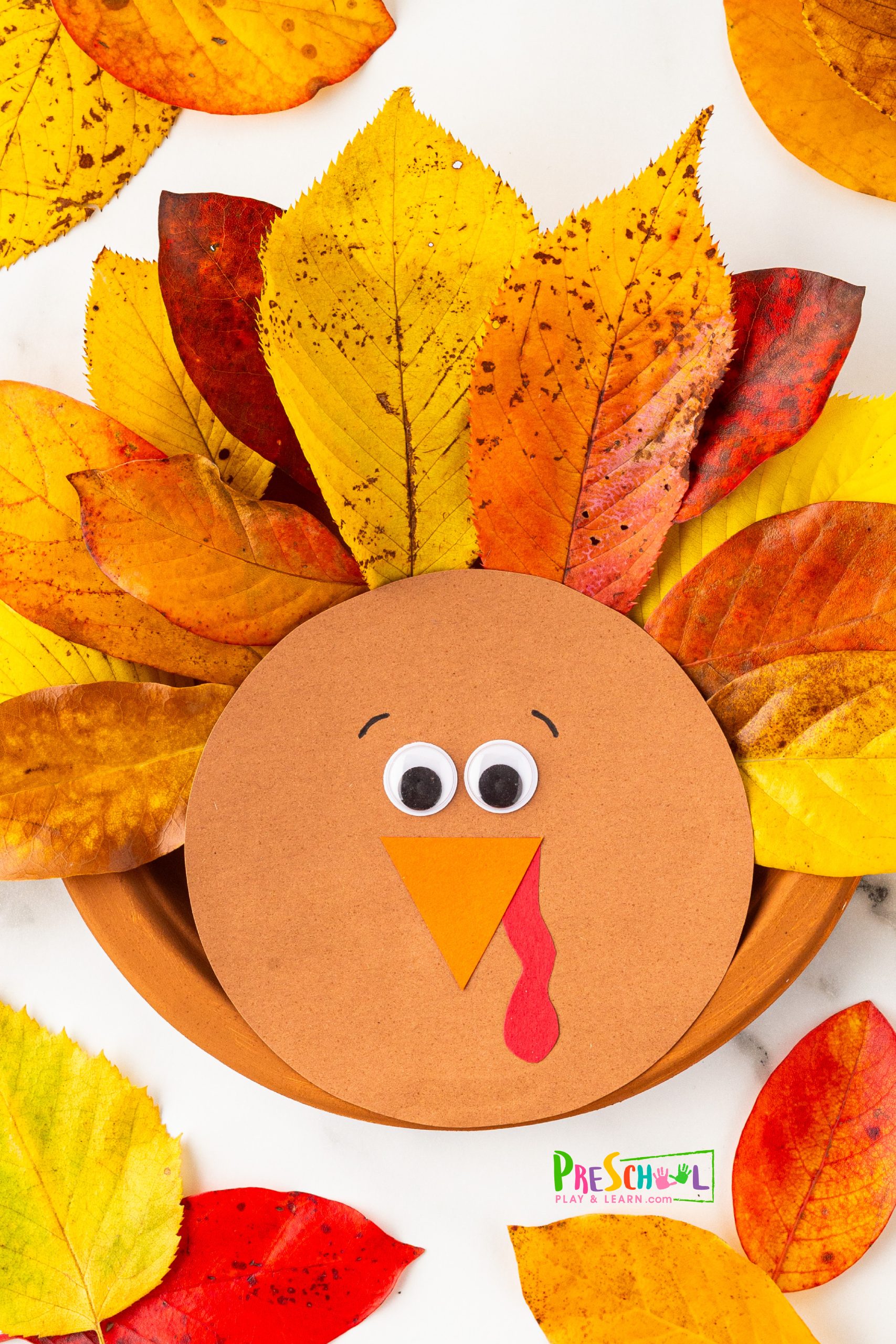 Thanksgiving Turkey Leaf Craft for Kindergarten with Real Leaves