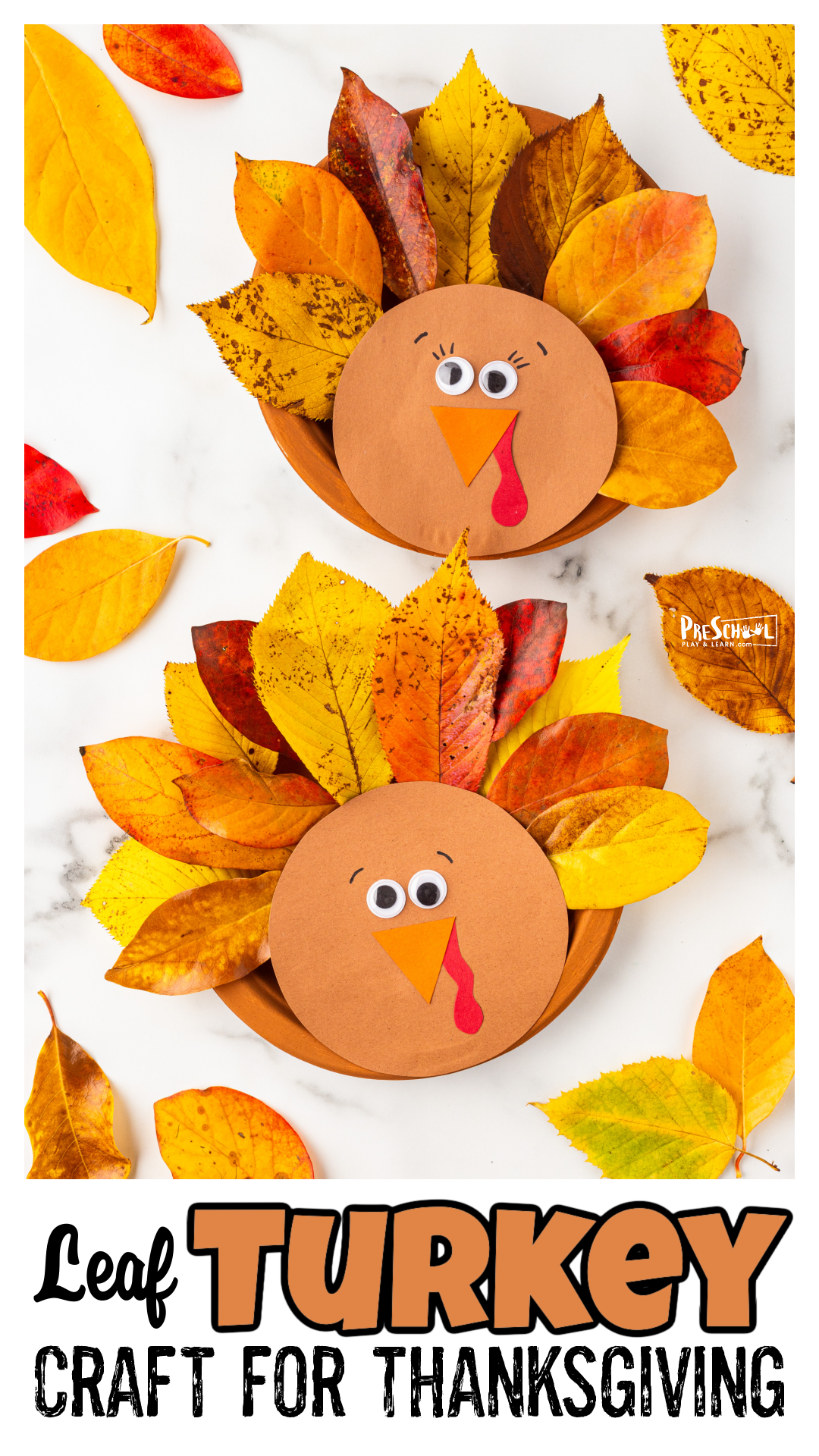 🦃 Spot the Differences: Turkey Activity Sheets