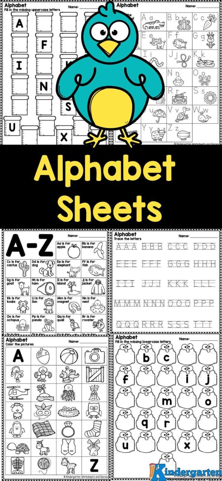 🐛 Insects Worksheets for Kindergarten