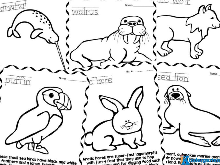 Polar Animals Kindergarten Coloring Pages