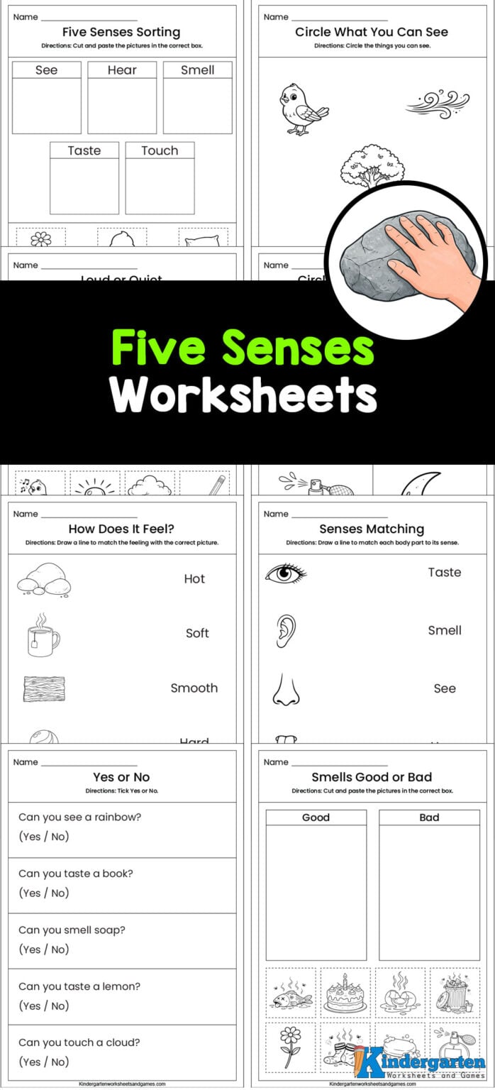 Five Senses Worksheets for Kindergarten