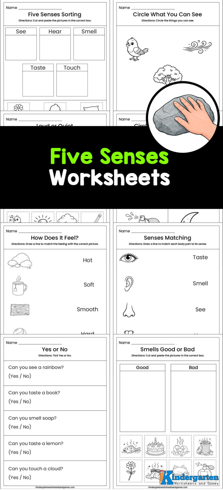Five Senses Worksheets for Kindergarten