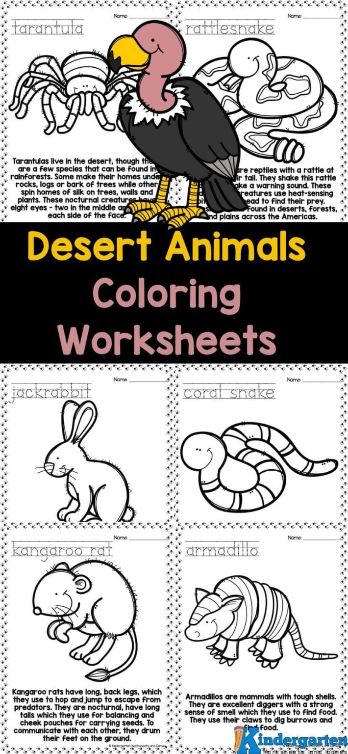 FREE Biomes Coloring Pages for Kids