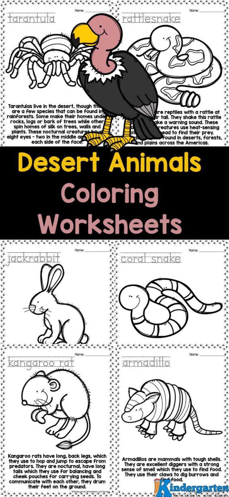 FREE Biomes Coloring Pages for Kids