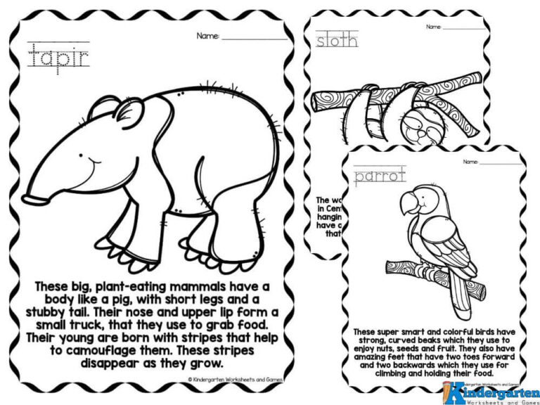 Rainforest Animals Coloring Pages