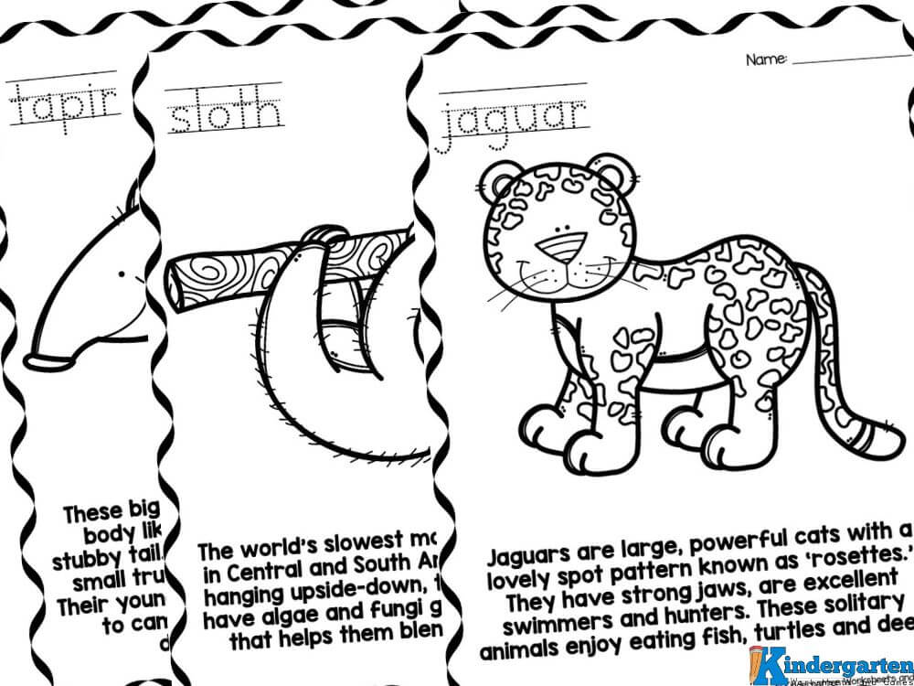 Rainforest Animals Coloring Pages